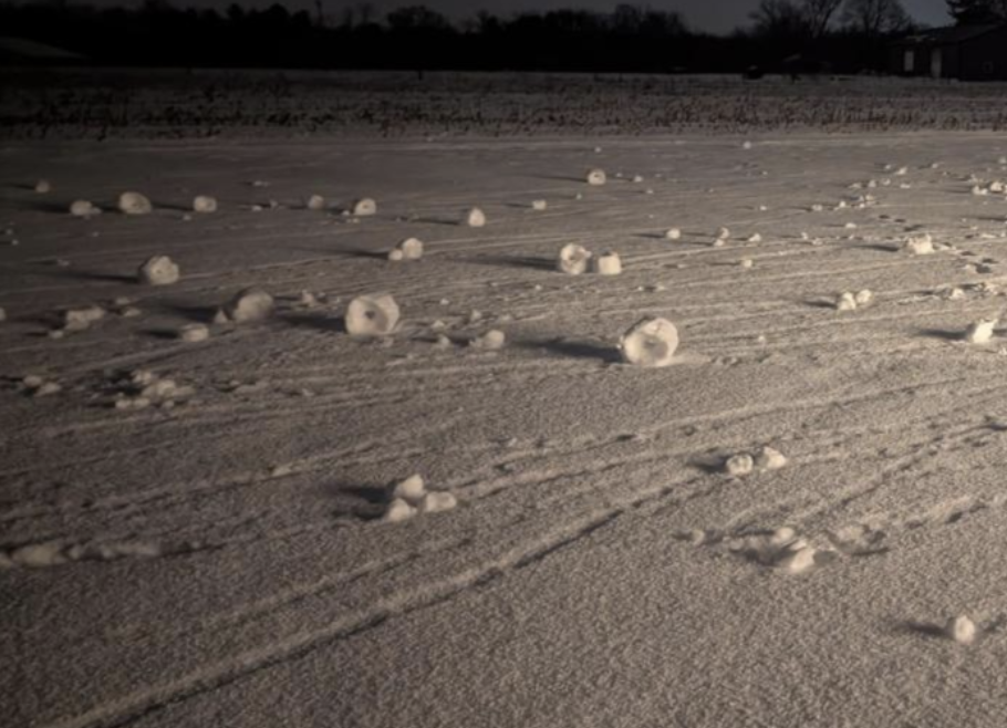 Snow Doughnuts in Michigan, USA – DomNuts